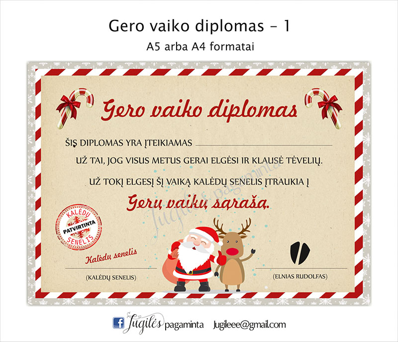 GERO VAIKO DIPLOMAI