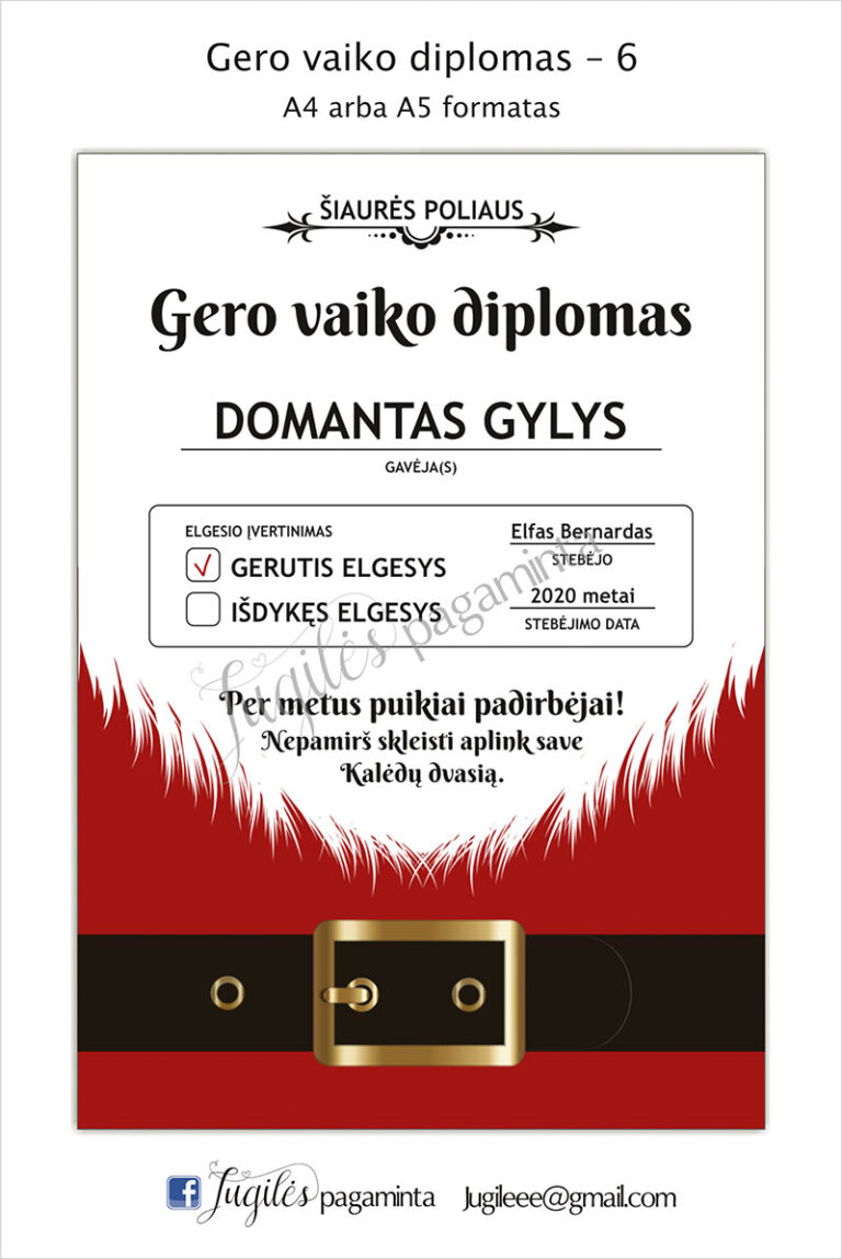 GERO VAIKO DIPLOMAI
